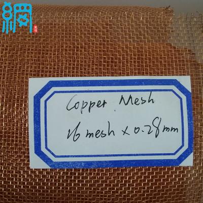 China Phosphor Bronze Wire Mesh (Wire Cloth)/Bronze Wire Mesh/Phosphor bronze wire screen for sale