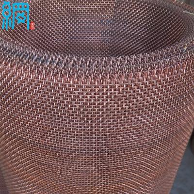China Copper Crimped Wire Mesh (ISO9001 Factory) for sale