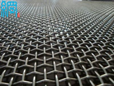 China Low Carbon Steel Crimped Woven Wire Mesh (ISO9001 Factory) for sale