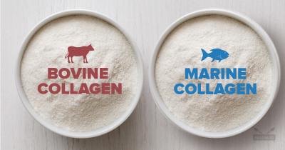 Cina Polvere bovina idrolizzata del collagene fatta di pelle bovina fresca con pretrattamento 5000mt/year in vendita