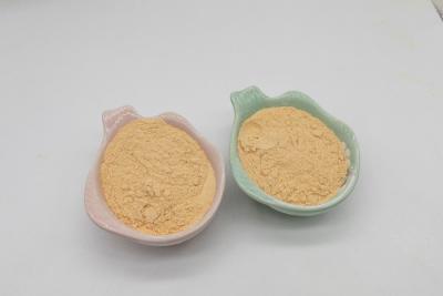 Cina Polvere giallo-chiaro della proteina dell'isolato, isolato crudo del proteina del siero per le donne in vendita