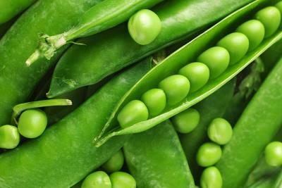 中国 化学付加的な野菜は蛋白質の粉、野菜コラーゲンの粉を基づかせていませんでした 販売のため
