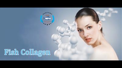 Cina 95 per cento solubili in acqua cascer del pesce del collagene del tripeptide della proteina in vendita
