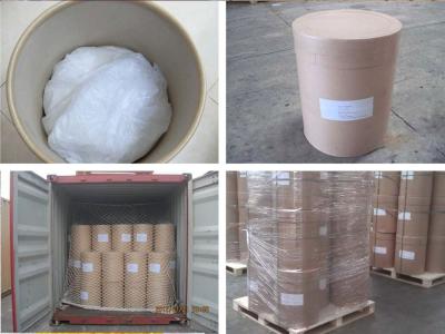 Cina Natura Marine Hydrolyzed Collagen Powder organica di GMP CAS 9000-70-8 in vendita