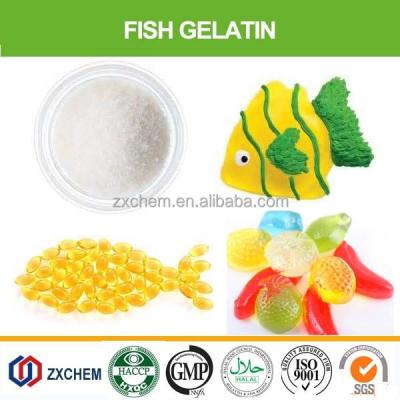 Cina Polvere commestibile della gelatina del pesce della scaglia della pelle del pesce di CAS 9000-70-8 in vendita