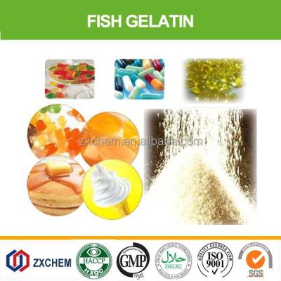Cina Polvere commestibile della gelatina del pesce della scaglia della pelle del pesce di CAS 9000-70-8 in vendita