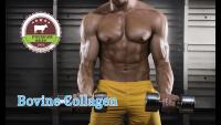 China Odorless  GMP Food Supplement Hydrolyzed  Beef Whey Isolate for sale