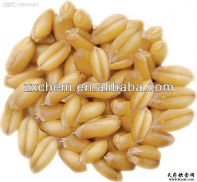 中国 良い質の乾燥した飴の粉有機性75% 販売のため