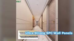 SPC Honeycomb Wall Board