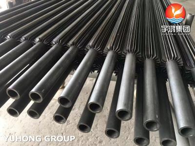 Cina Industria petrolchimica Tubi a pinne longitudinali ASTM A312 TP316L con pinne in acciaio inossidabile in vendita