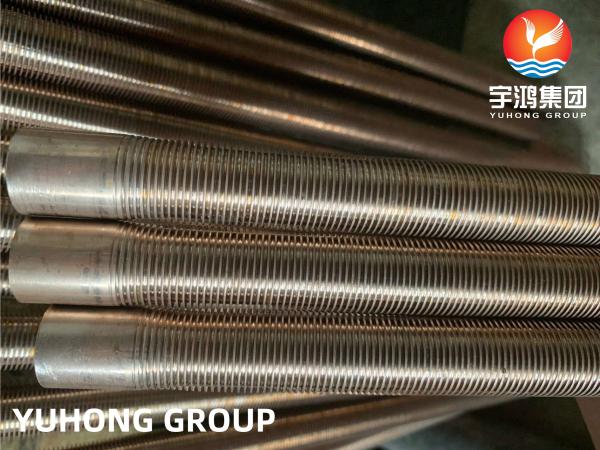 Quality Low Fin Tube , ASTM B111 C12200 , Copper Alloy Fin Tube for sale