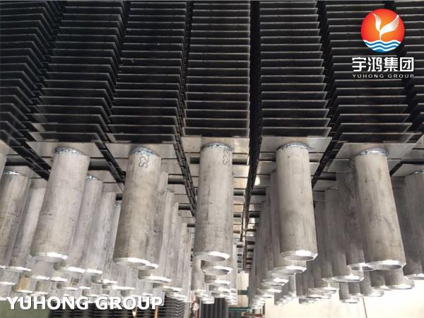 Quality ASME SA312 TP316 Seamless Steel Square Fin Tube For Boiler , Heat Exchanger for sale
