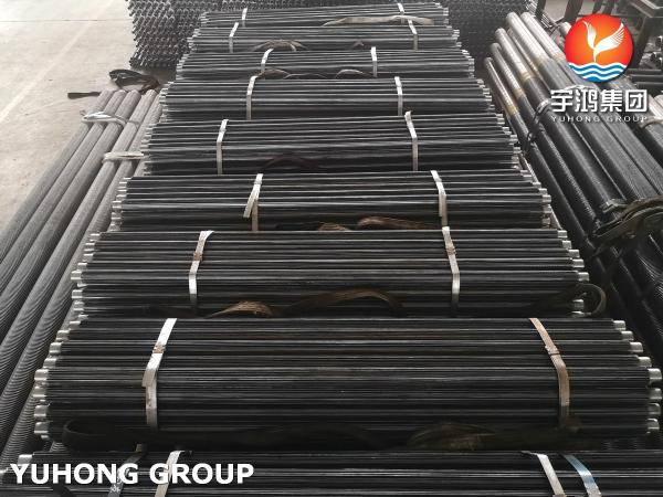 Quality Longitudinal Finned Tube, ASTM A312 TP316L With Stainless Steel Fin, For for sale