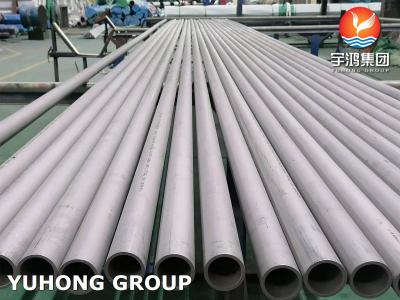 Cina ASME SA213 TP347H Tubo di caldaia in acciaio inossidabile senza saldatura per l'industria petrolchimica in vendita