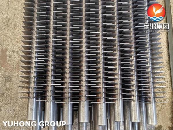 Quality H Type Seamless Steel Square ASME SA270 TP316L Fin Tube Heating Transfer System for sale