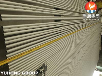 중국 ASME SA213 TP316L 스테인리스 스틸 원활한 열 교환 튜브 판매용