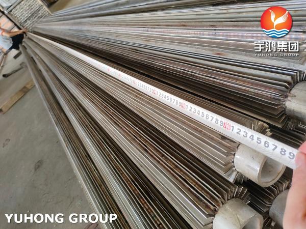 Quality ASTM A312 TP316L Welded Longitudinal Finned Tubes With Stainless Steel Fins for sale