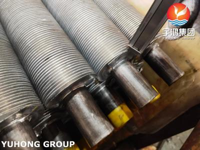Cina ASTM A179 Tubo a pinna estruso con pinna di alluminio per evaporatore e preriscaldatore d'aria in vendita
