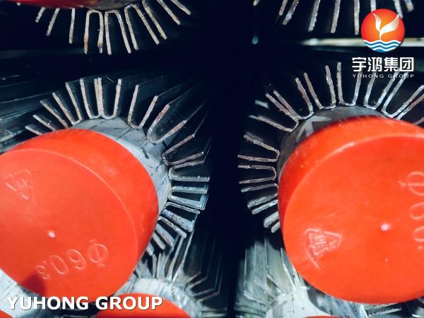 Quality ASTM A213/ ASME SA213 TP316L Longitudinal Finned Tube With SS316L Fin Strip for sale