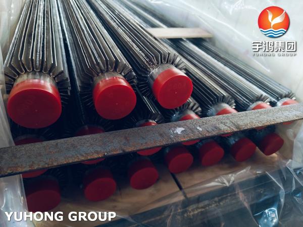 Quality ASTM A213 TP316L Longitudinal Finned Tube with SS316L Fins for Oil Cooler for sale