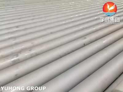 Cina ASME SA213 TP321 Tubo senza cuciture in acciaio inossidabile per la caldaia ad alta temperatura in vendita