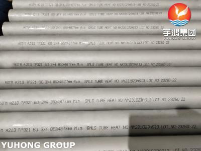 Cina ASME SA213 TP321 Tubo senza cuciture in acciaio inossidabile per la caldaia ad alta temperatura in vendita