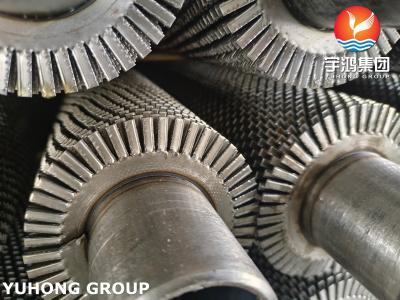 Cina ASTM A213 TP316 Tubo serrato a spirale HFW con pinne in acciaio inossidabile per apparecchi di riscaldamento in vendita