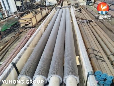 Cina Tubo senza cuciture in acciaio inossidabile, tubo a pinna serrato HFW, ASTM A312 TP304H, per bobina di convezione in vendita