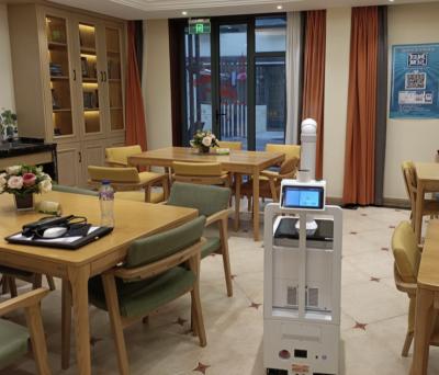 Cina Robot intelligente disinfettante di sterilizzazione del perossido di idrogeno del robot dello spruzzo del centro commerciale V-SLAM in vendita
