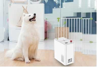 China Het droge van de de desinfectiemachine van de mistatomisering van de het lithiumbatterij geschikte gebruik in dierenwinkel Te koop