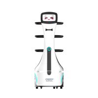 China Dish Delivery Self Charging Robot LCD Screen Hotel Remote Control Robot for sale