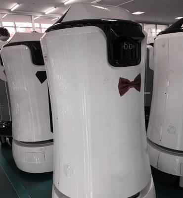 中国 LGの電気中心のホテル配達ロボット サービス リチウム電池48V 8AH 販売のため