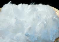 China Cationic Solid Psf Polyester Staple Fiber For Spinning 1.4d 38mm for sale