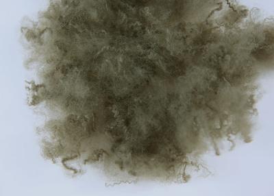 Cina Fibra solida corta chimica rigenerata 15D*51MM della fibra di poliestere per l'interno del veicolo in vendita