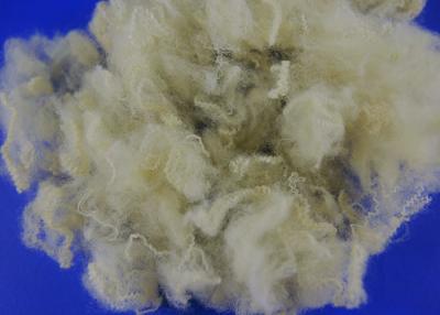 China De hoge Stapelvezel van de Hardnekkigheids Maagdelijke Polyester, Anti - Vervorming Gerecycleerde Polyestervezel Te koop