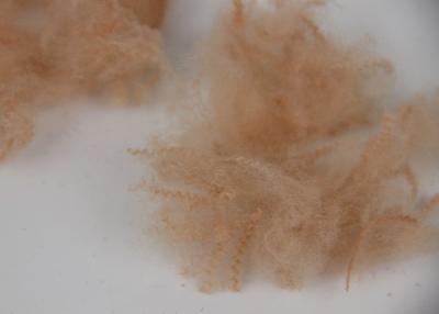 Cina La fibra di poliestere solida di Siliconized ha riciclato/abrasione vergine del grado - resistente in vendita