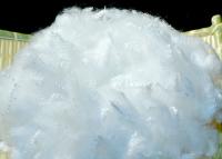 China 2D 51mm Bi Component Low Melt Fiber 100% Polyester White for Bonding for sale