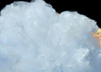 China Cationic Dyeable Polyester Staple Fiber 1.4D x 38mm for Spinning Yarn for sale