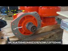 Motor hidráulico