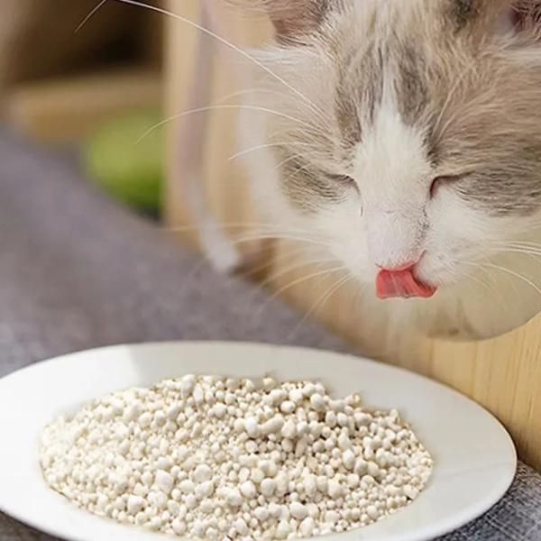 Quality Bulk Cassava Litter Low Dust White Fast Clumping Cat Litter 100% Plant for sale