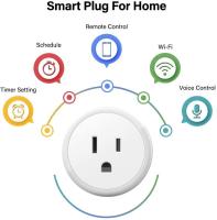 China Bluetooth Wifi Smart Plug Socket Home Assistant Remote Control Plugs for sale