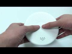 Oxyde de carbone de Tuya Wifi et détecteur de fumée intelligents 2 dans 1 capteur de détecteur