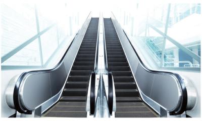 China China Supplier Heavy Public Passenger Conveyor Walkalator Travelator Sidwalk VVVF Escalator for sale