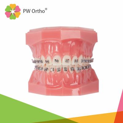 Cina MIM Damon Self Ligating Braces preciso 0,022 coppie di torsione medie in vendita