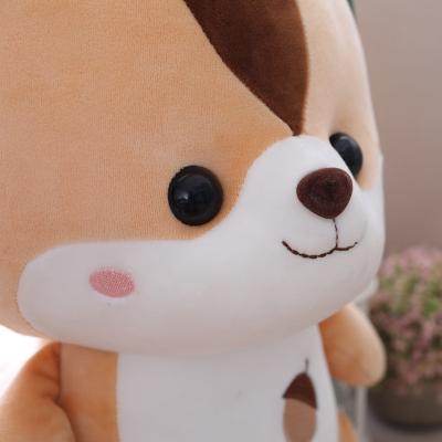 Cina Il giocattolo 25cm della peluche dello scoiattolo dei bambini dell'OEM con il cotone del polipropilene ha riempito in vendita