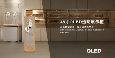 Cina 48 pollici trasparente OLED touch screen risparmio energetico adatto per vetrine di marca in vendita