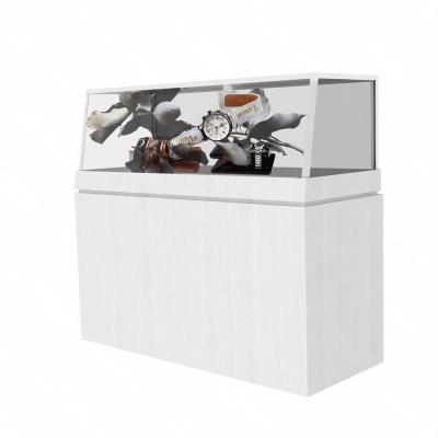 China 48 Inch High Definition Oled See Through Screen Transparent Oled Panel for sale