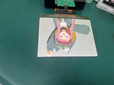 China 8 Inch Amoled Display Module 1860×2480 MIPI Interface Driving IC RM69380 430C/D for sale
