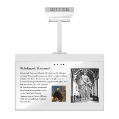 China 55 Inch OLED Transparent Display With Hanging Installation Ultra Slim Design for sale