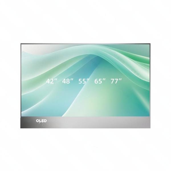 Quality 55 Inch Transparent Oled Display 4K High Definition Touch Interaction for sale
